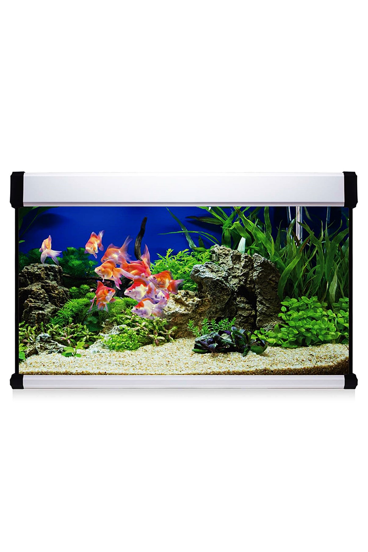 Kit AquaLUX PRO 100 - Acuario de 100 litros Blanco – umdale.com